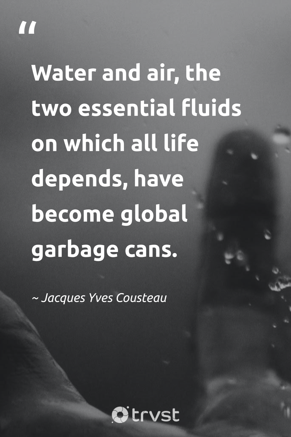 108 Water Quotes To Refresh And Reinforce Its Importance (2024)