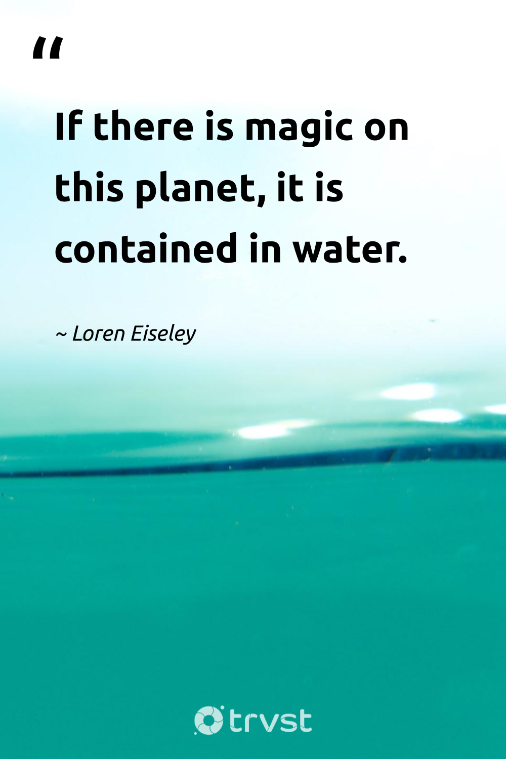 108 Water Quotes To Refresh And Reinforce Its Importance (2025)