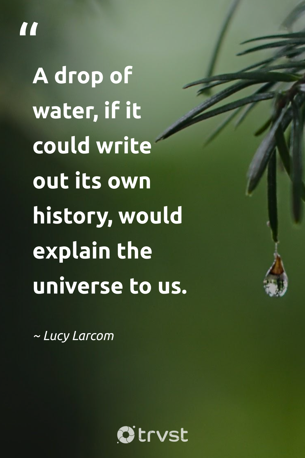 108 Water Quotes To Refresh And Reinforce Its Importance (2025)