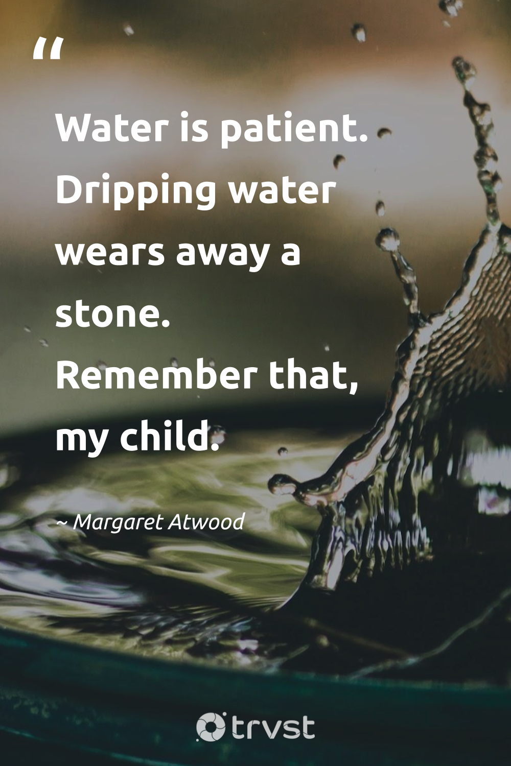 108 Water Quotes To Refresh And Reinforce Its Importance (2024)