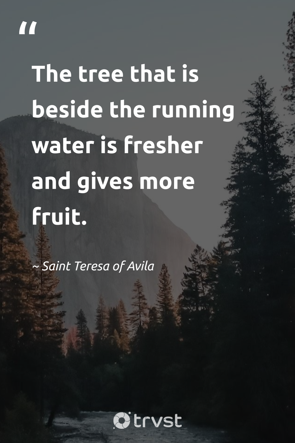 108 Water Quotes To Refresh And Reinforce Its Importance (2025)