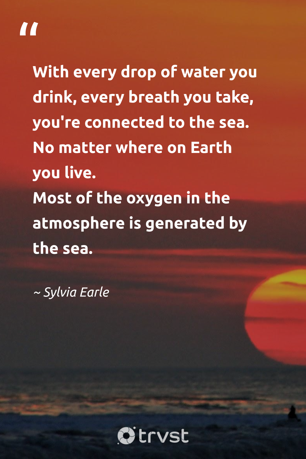 108 Water Quotes To Refresh And Reinforce Its Importance (2024)