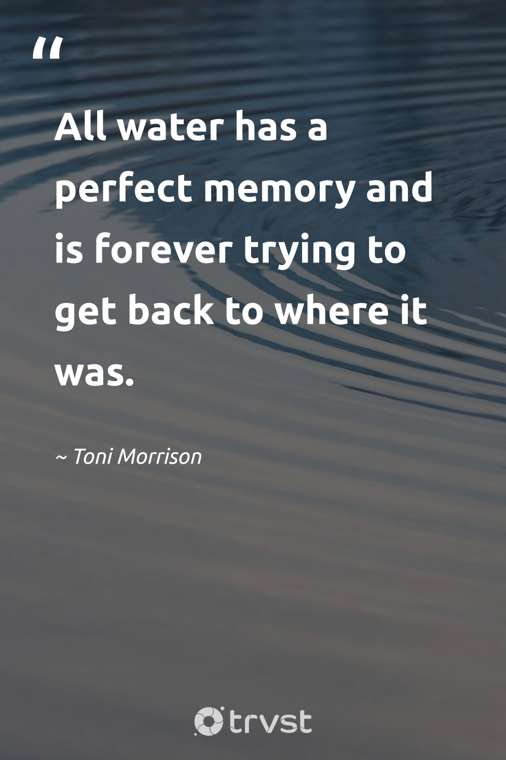 108 Water Quotes To Refresh And Reinforce Its Importance (2025)