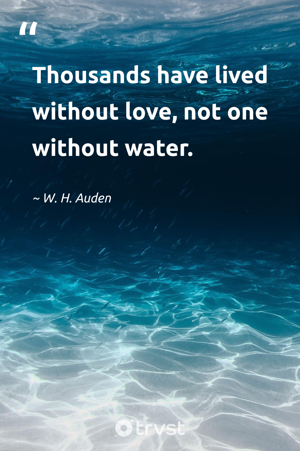 108 Water Quotes To Refresh And Reinforce Its Importance (2025)