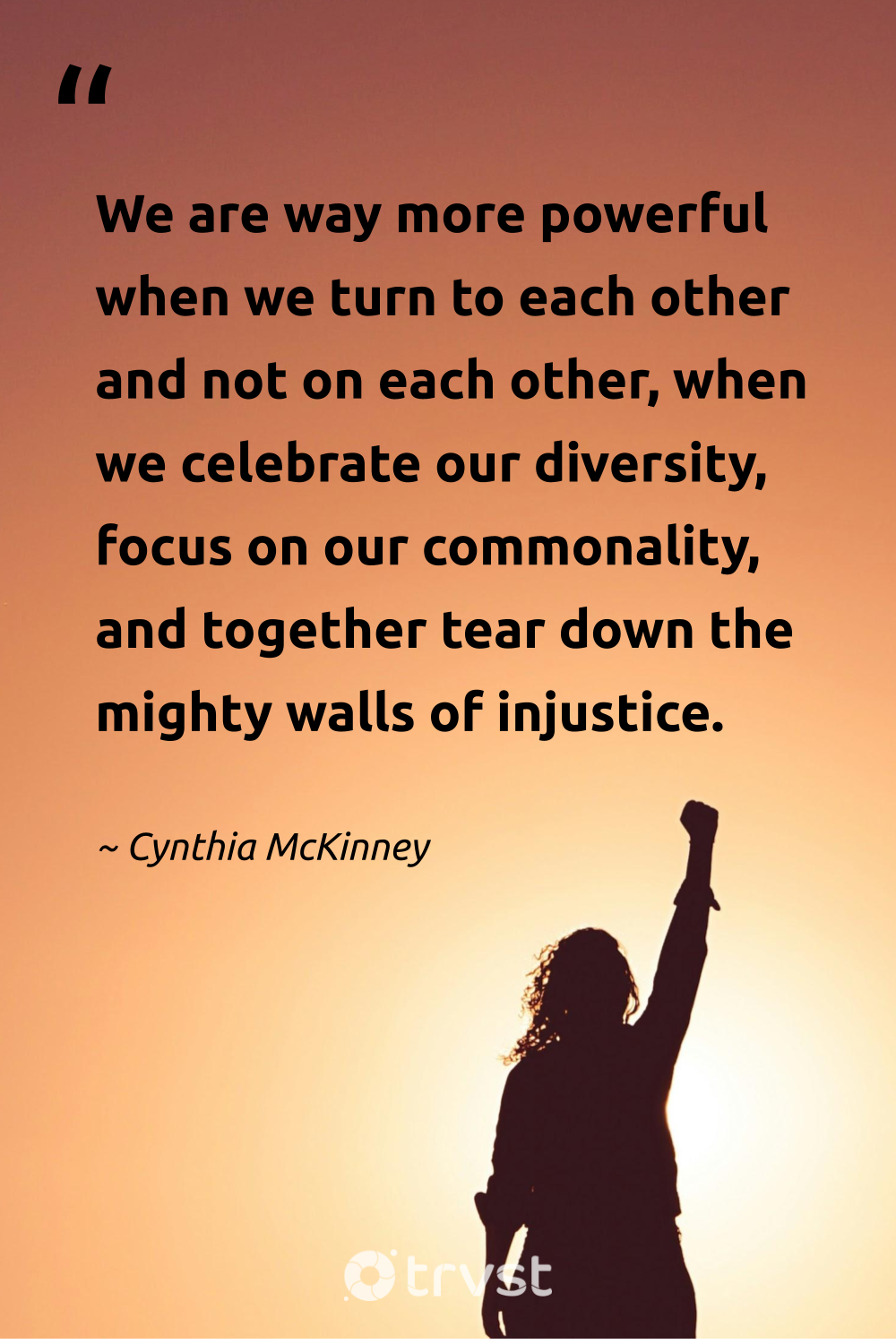 30 Civil Rights Quotes Fighting Against Inequality