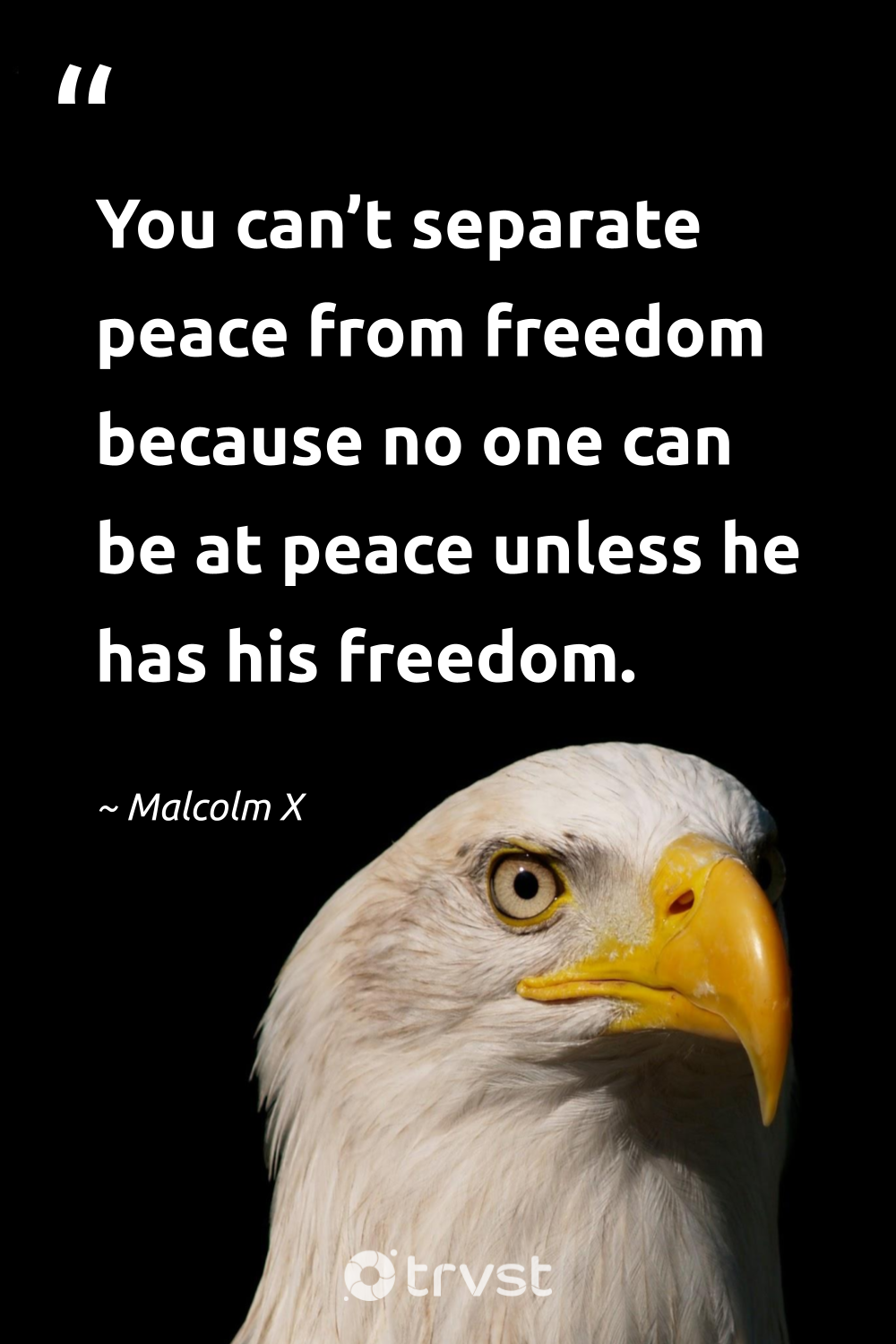 30 Civil Rights Quotes Fighting Against Inequality