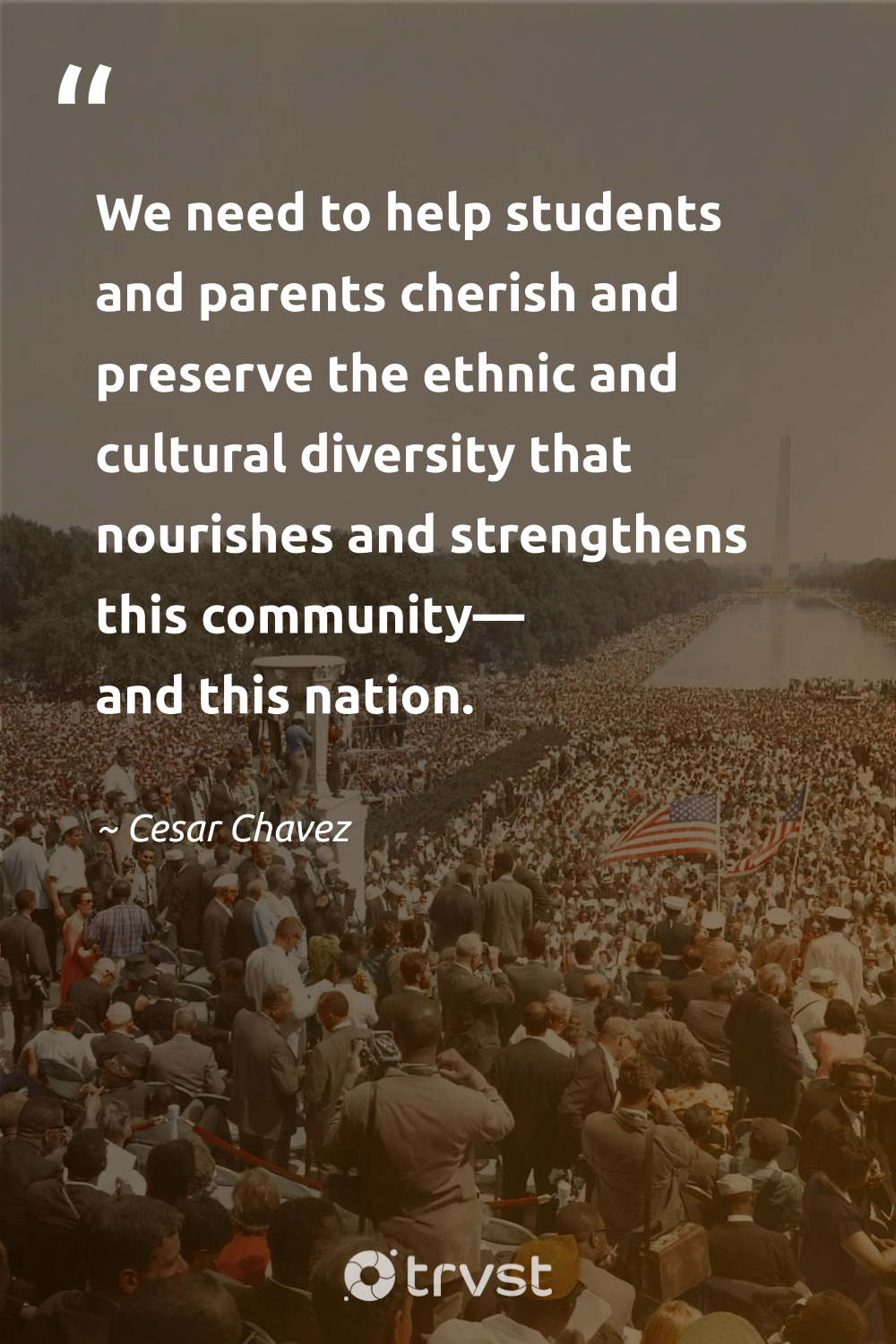 60 Equality Quotes to Inspire Diversity & Inclusion