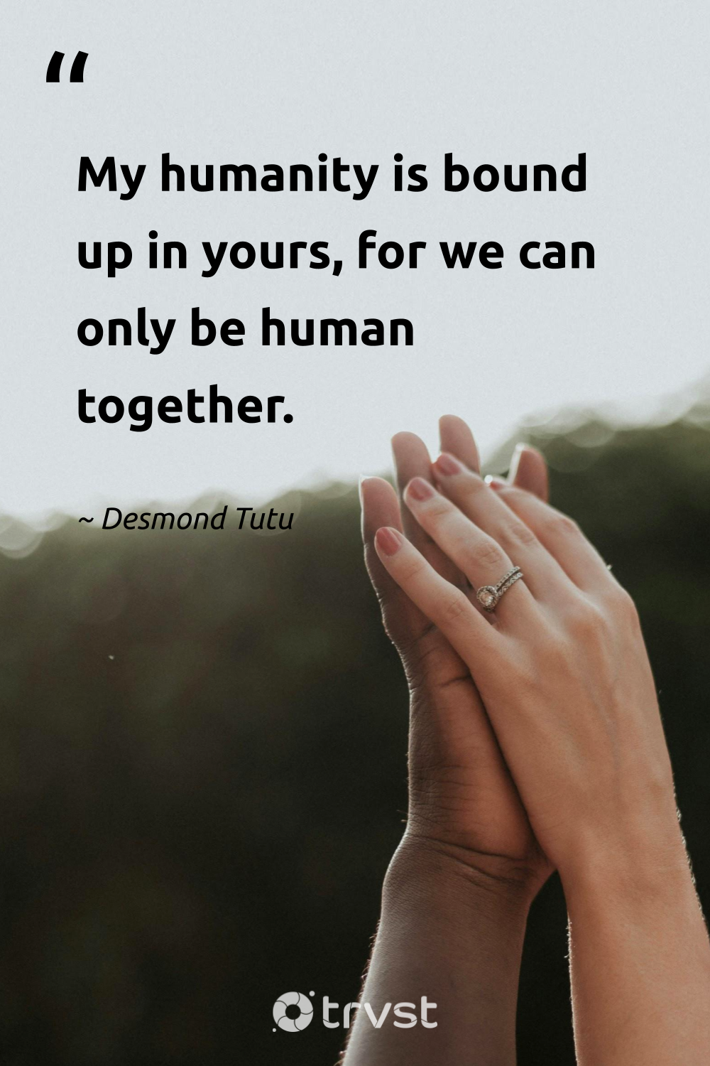 60 Equality Quotes to Inspire Diversity & Inclusion