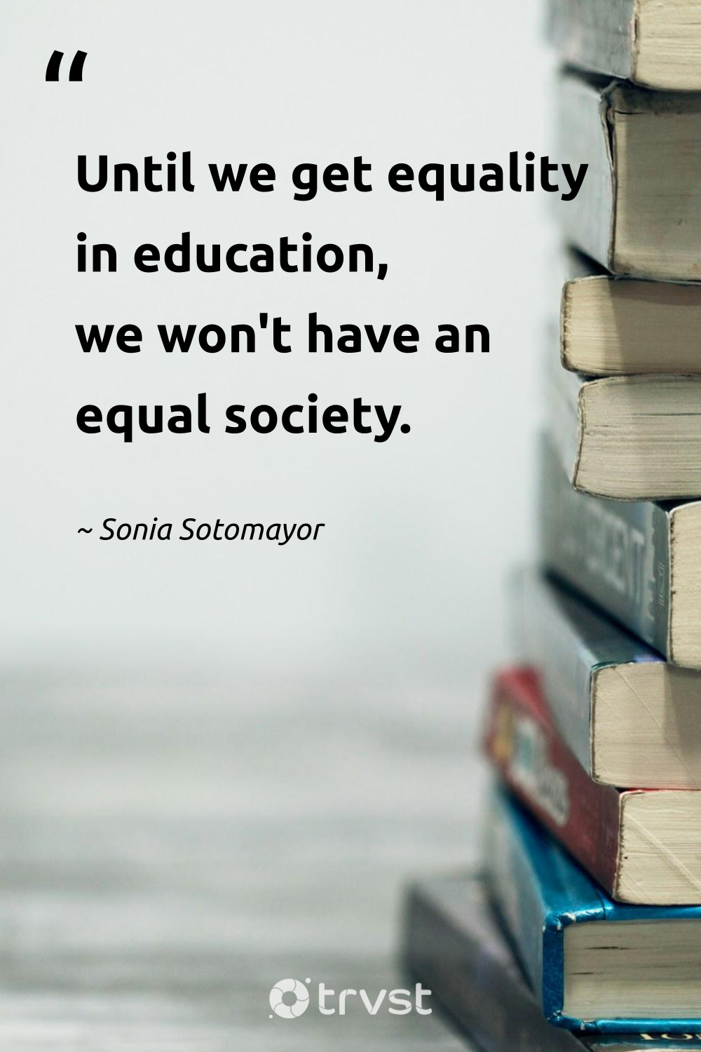 60 Equality Quotes to Inspire Diversity & Inclusion