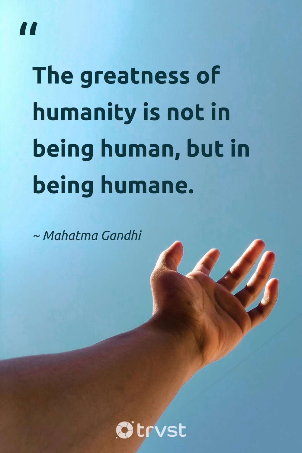 40 Homeless Quotes Opening Eyes and Inspiring Action