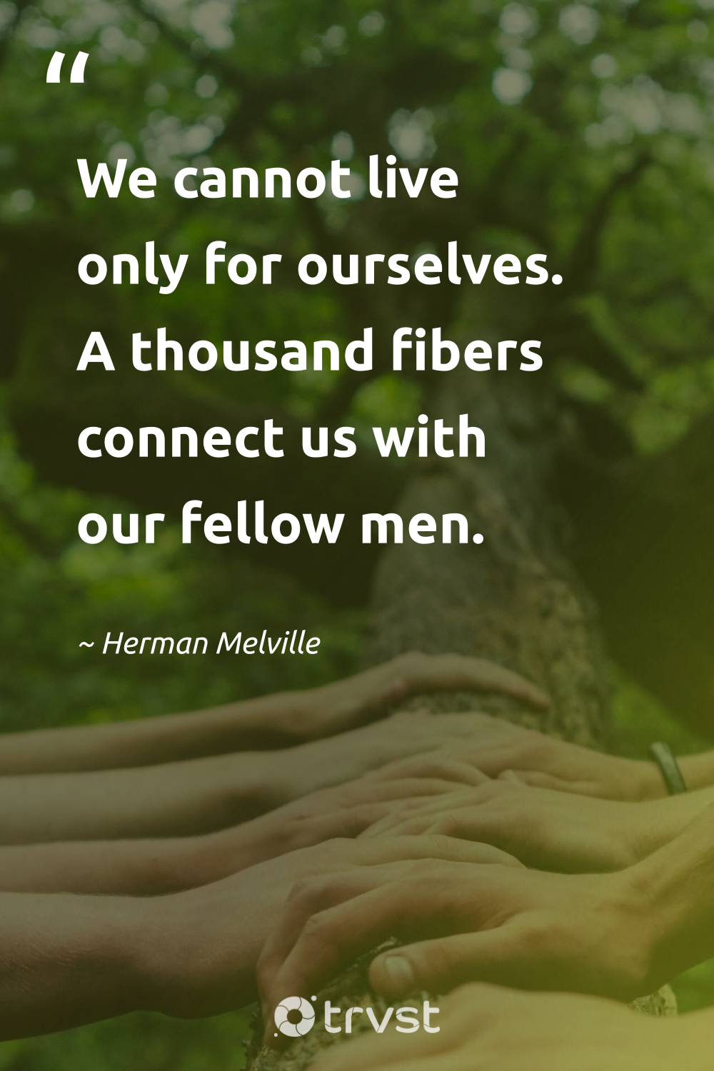 63 Giving Back Quotes Cultivating A Generous Heart (2025)