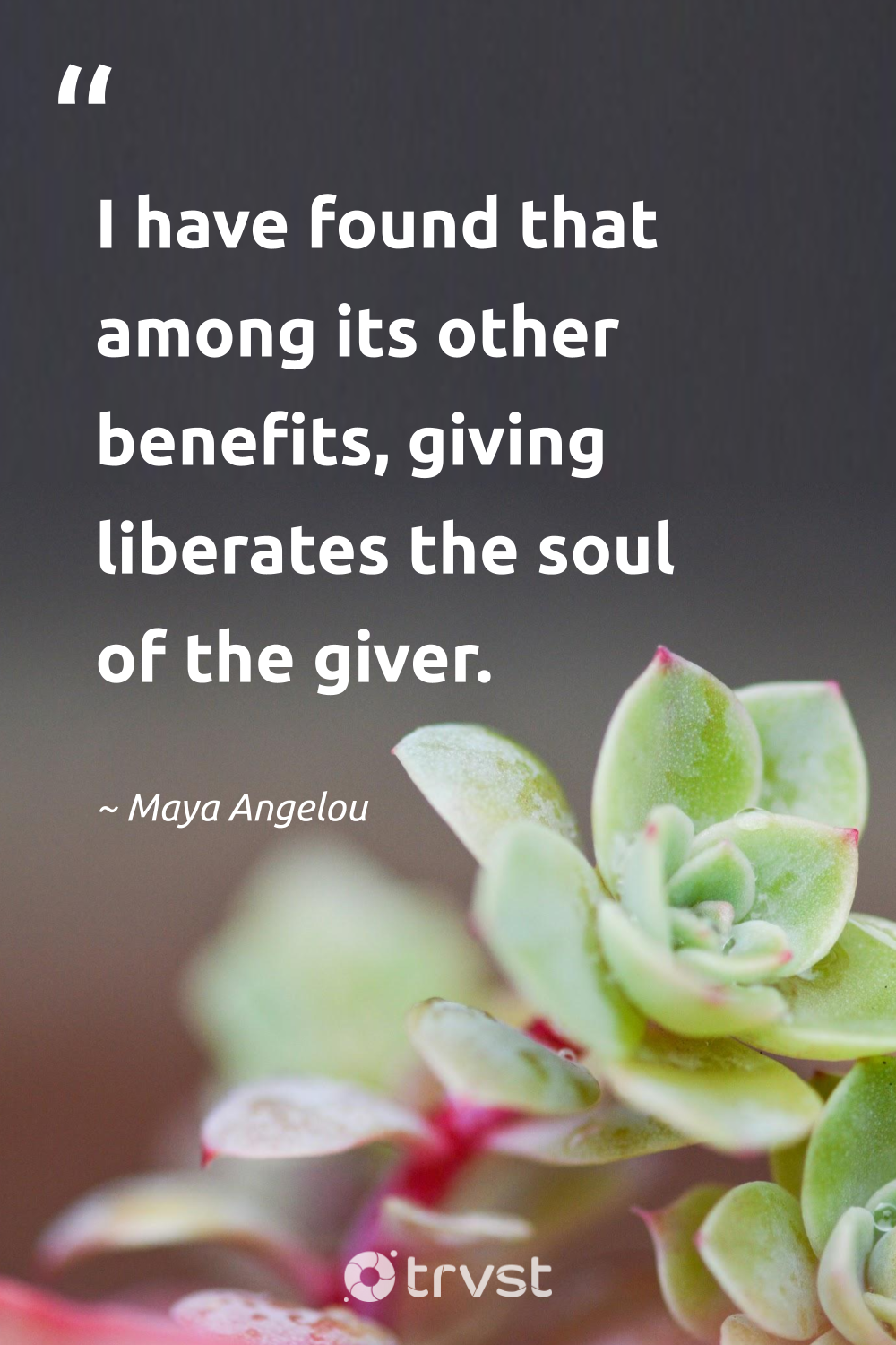 63 Giving Back Quotes Cultivating A Generous Heart (2025)