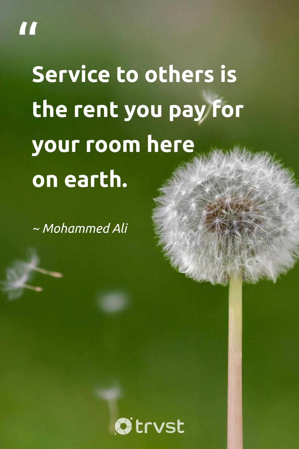 63 Giving Back Quotes Cultivating A Generous Heart (2025)