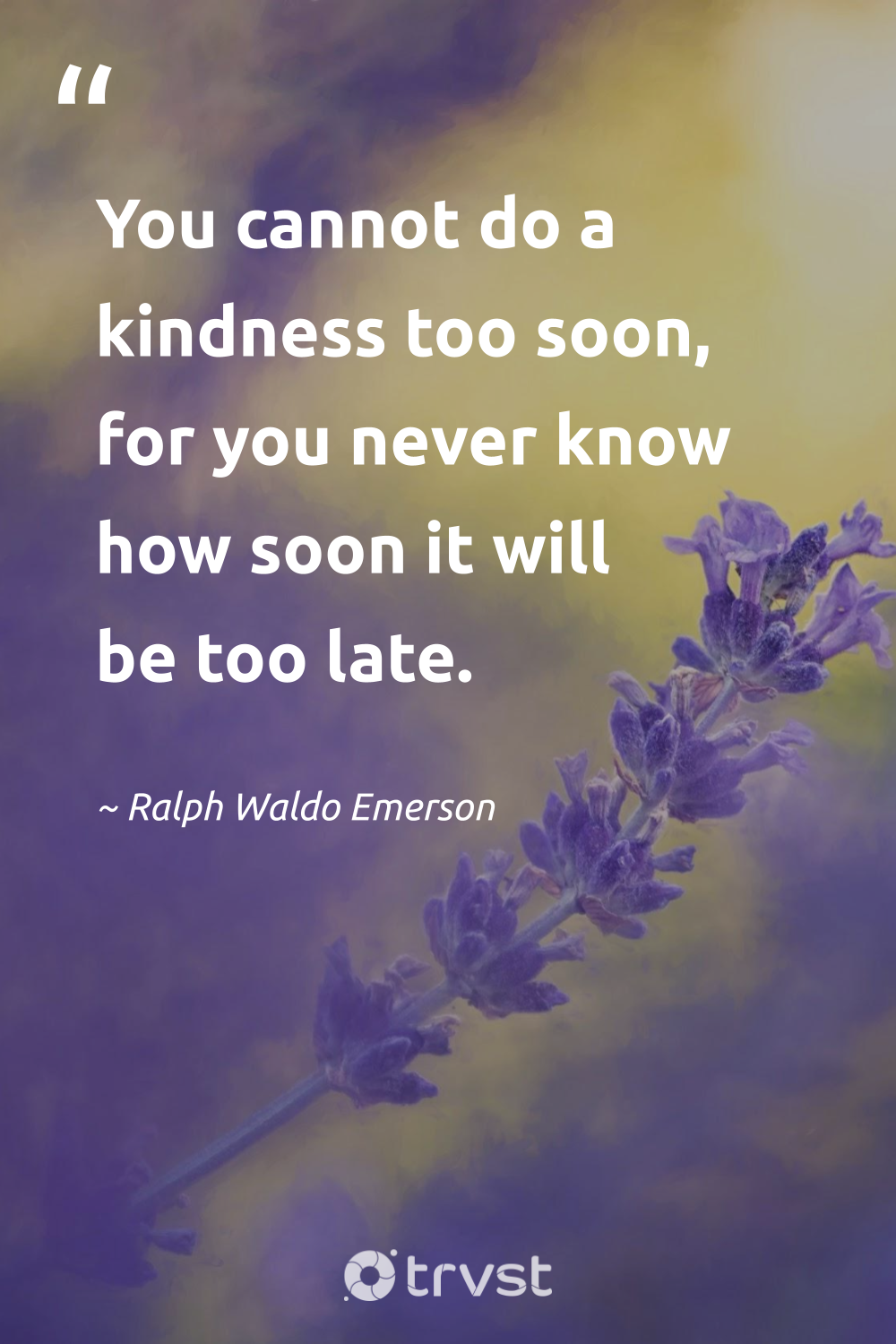 63 Giving Back Quotes Cultivating A Generous Heart (2025)