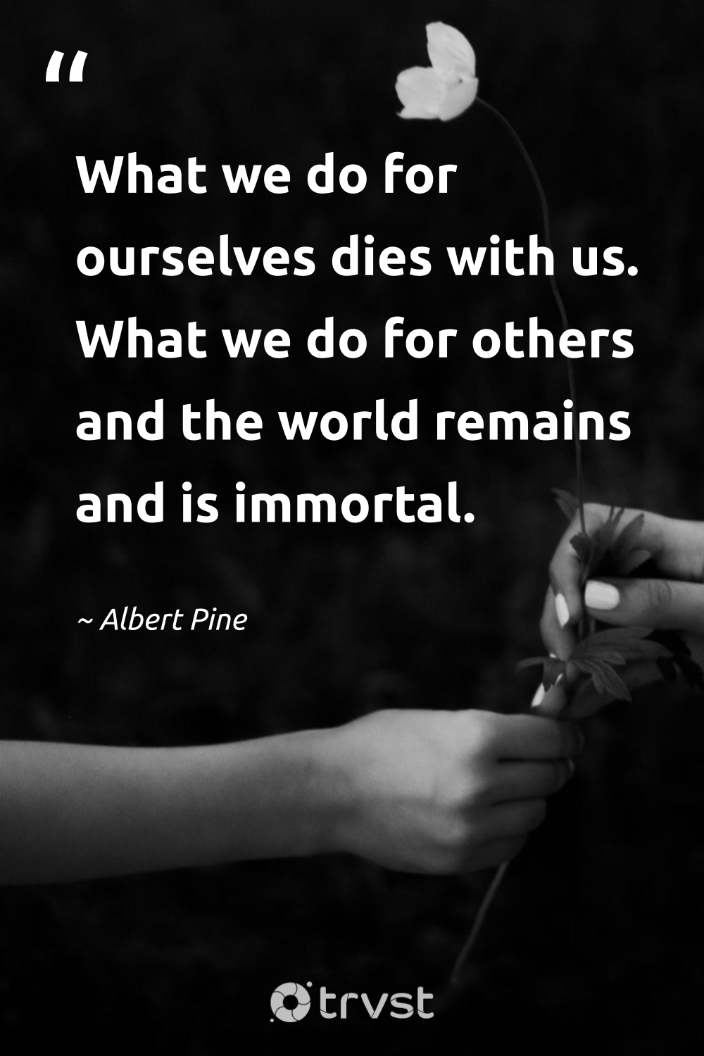 60 Philanthropy Quotes Inspiring Altruism and Generosity