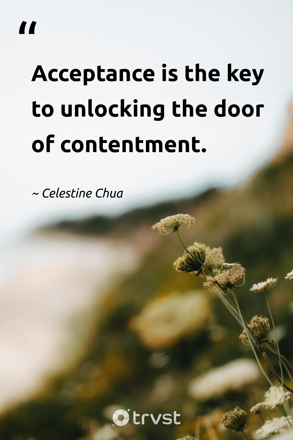 40 Acceptance Quotes Inspiring Strength, Love, And More