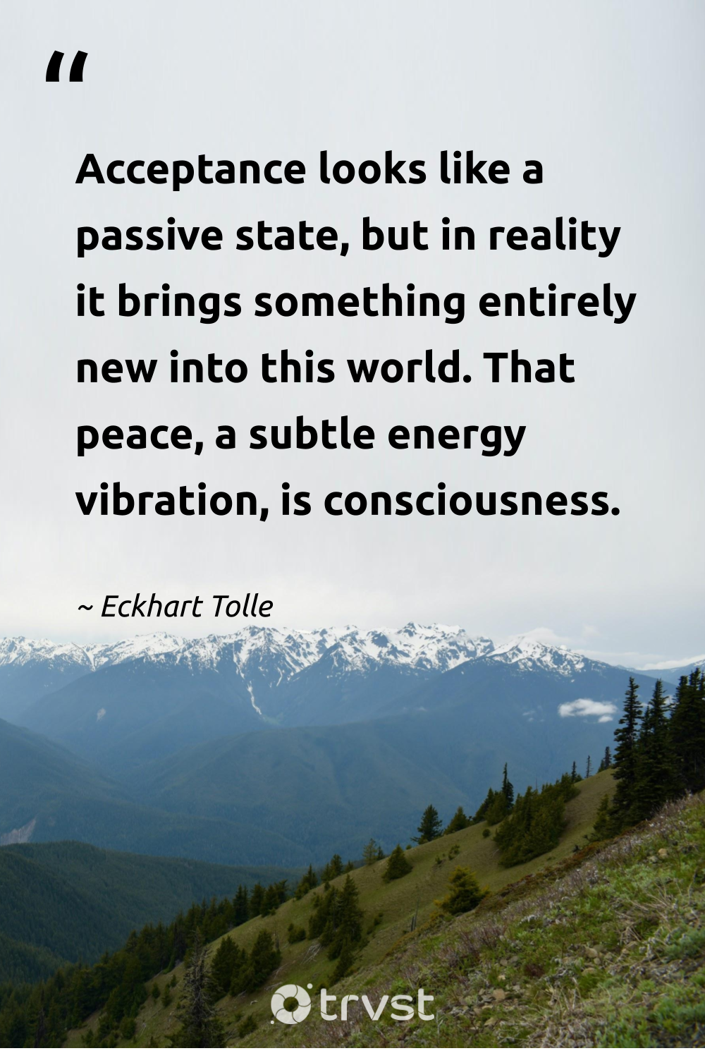 40 Acceptance Quotes Inspiring Strength, Love, And More