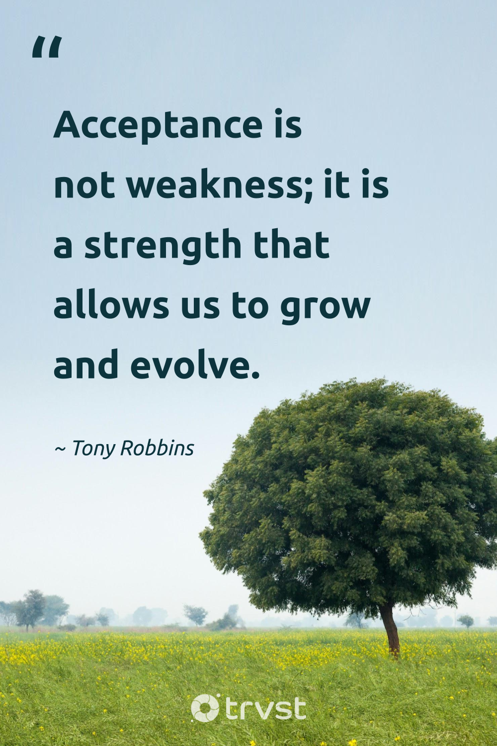 40 Acceptance Quotes Inspiring Strength, Love, And More