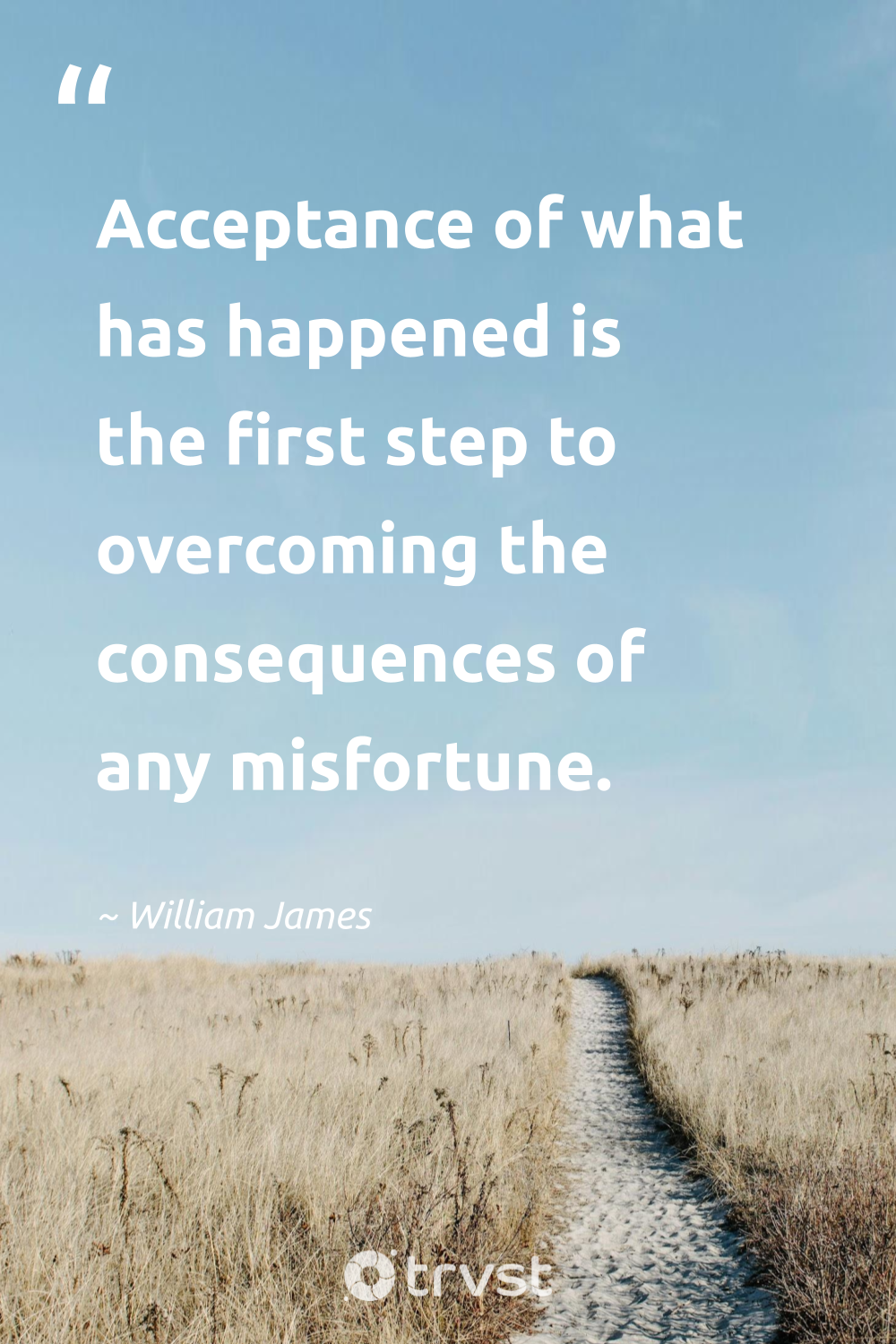 40 Acceptance Quotes Inspiring Strength, Love, And More