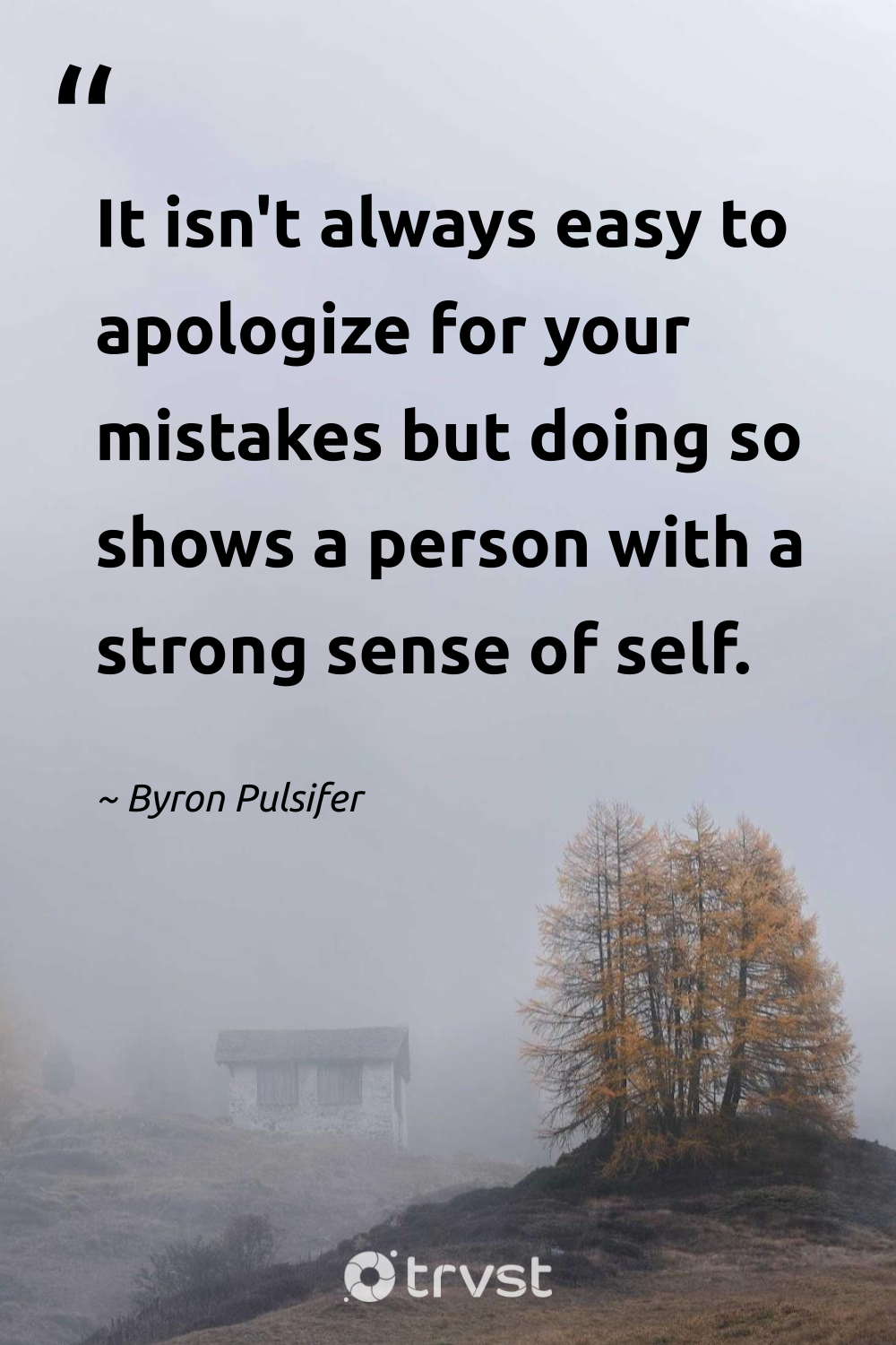 63 Apology Quotes About Saying Sorry And Beyond