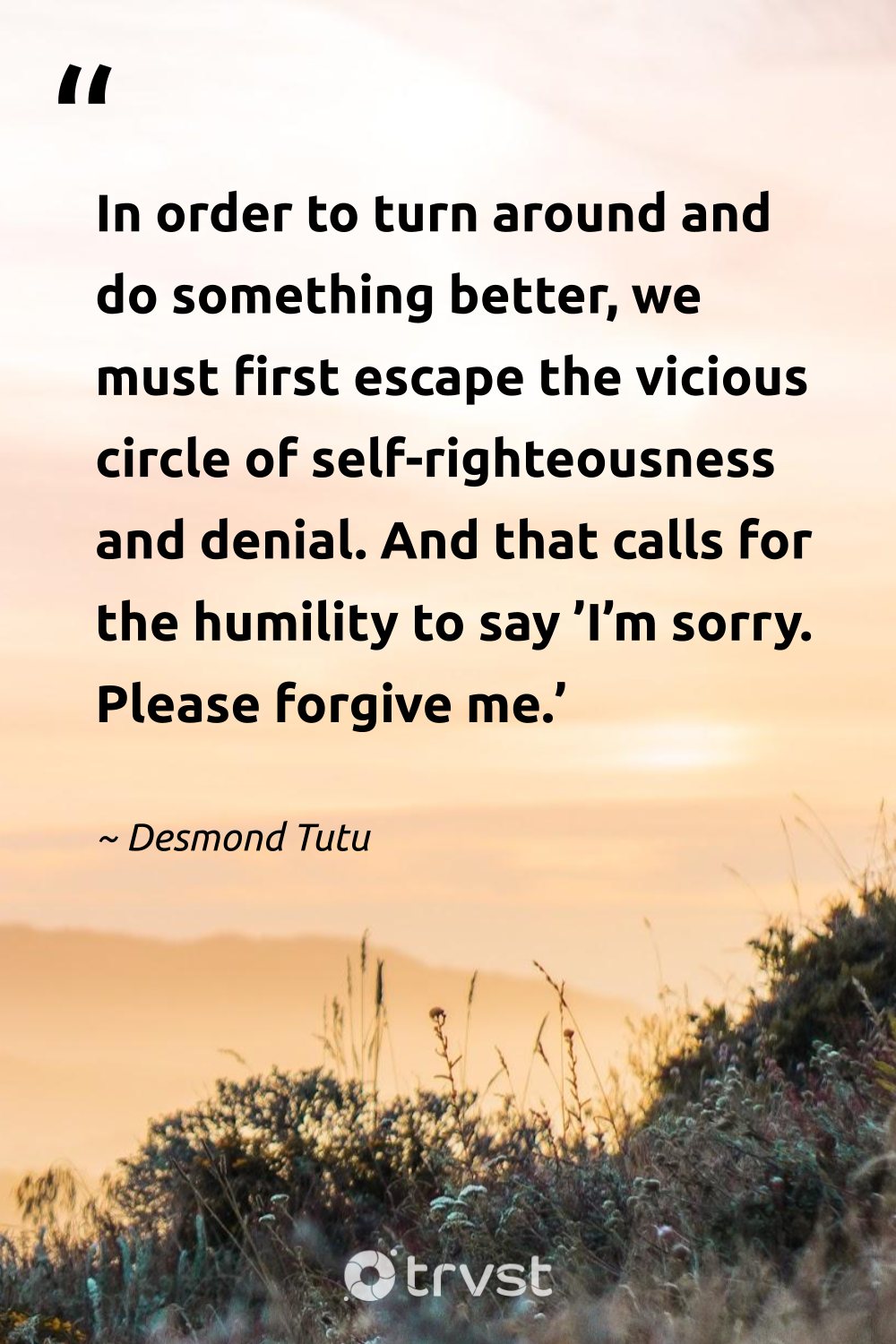 63 Apology Quotes About Saying Sorry And Beyond