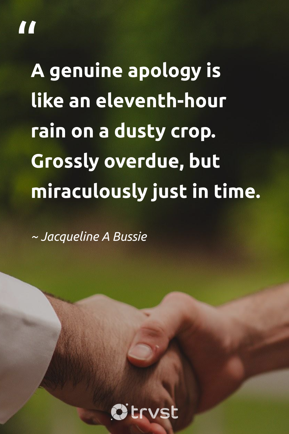 63 Apology Quotes About Saying Sorry And Beyond