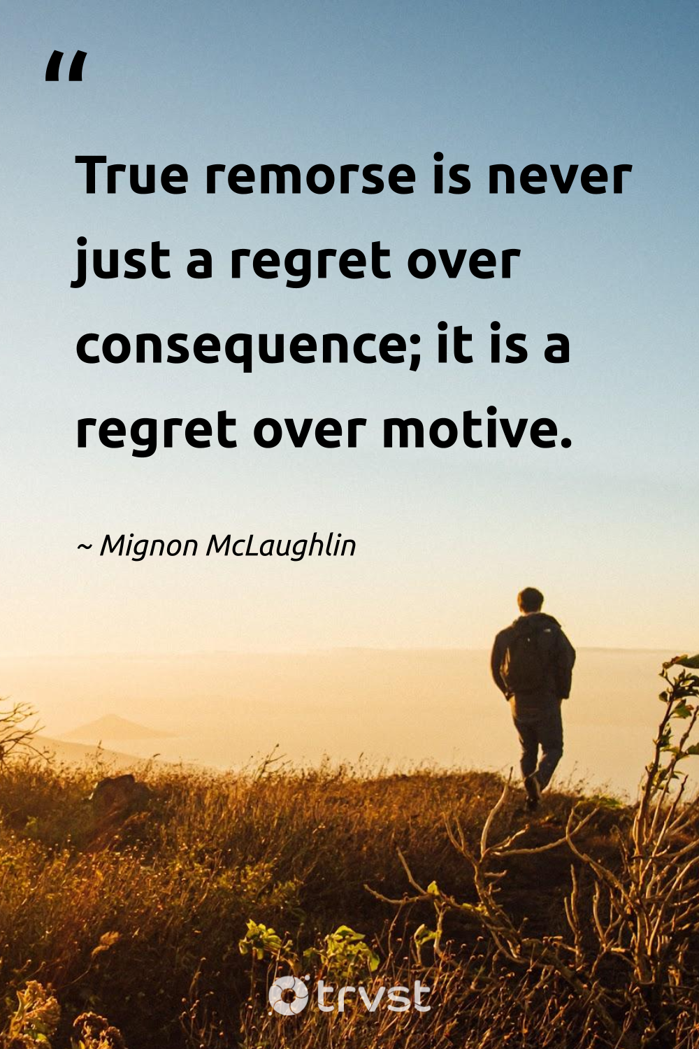 63 Apology Quotes About Saying Sorry And Beyond