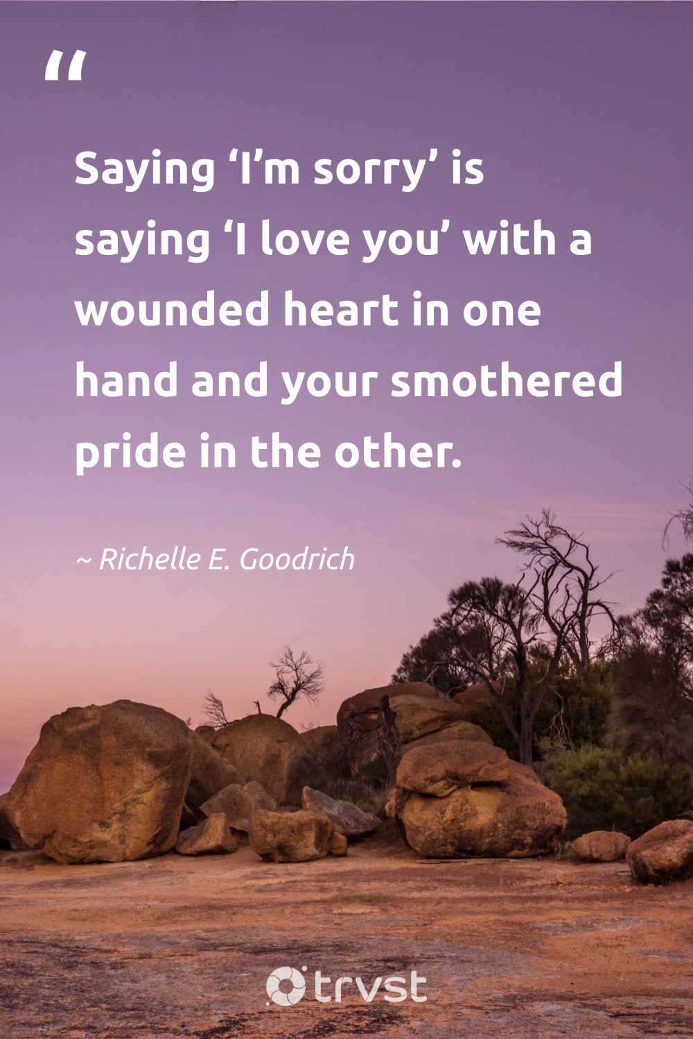 63 Apology Quotes About Saying Sorry And Beyond