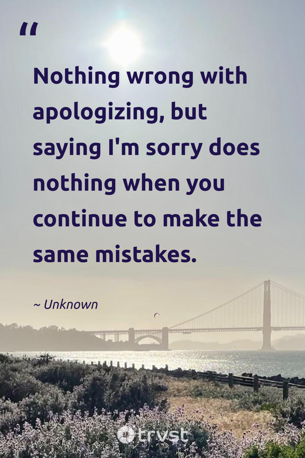 63 Apology Quotes About Saying Sorry And Beyond