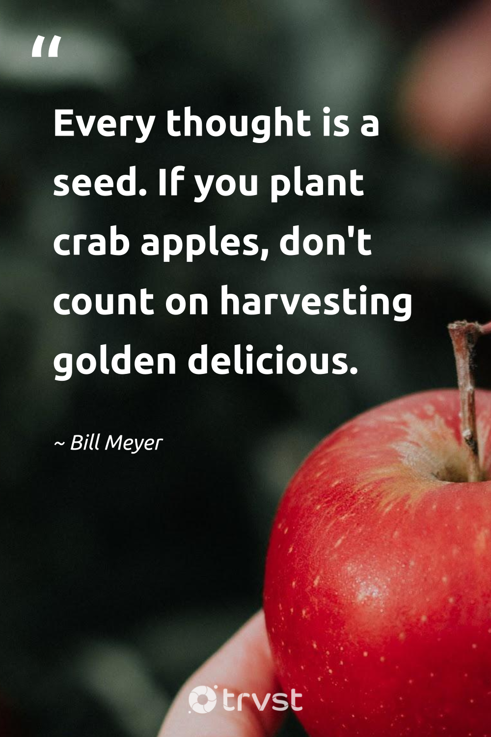 60 Apple Quotes To Keep The Doctor Away