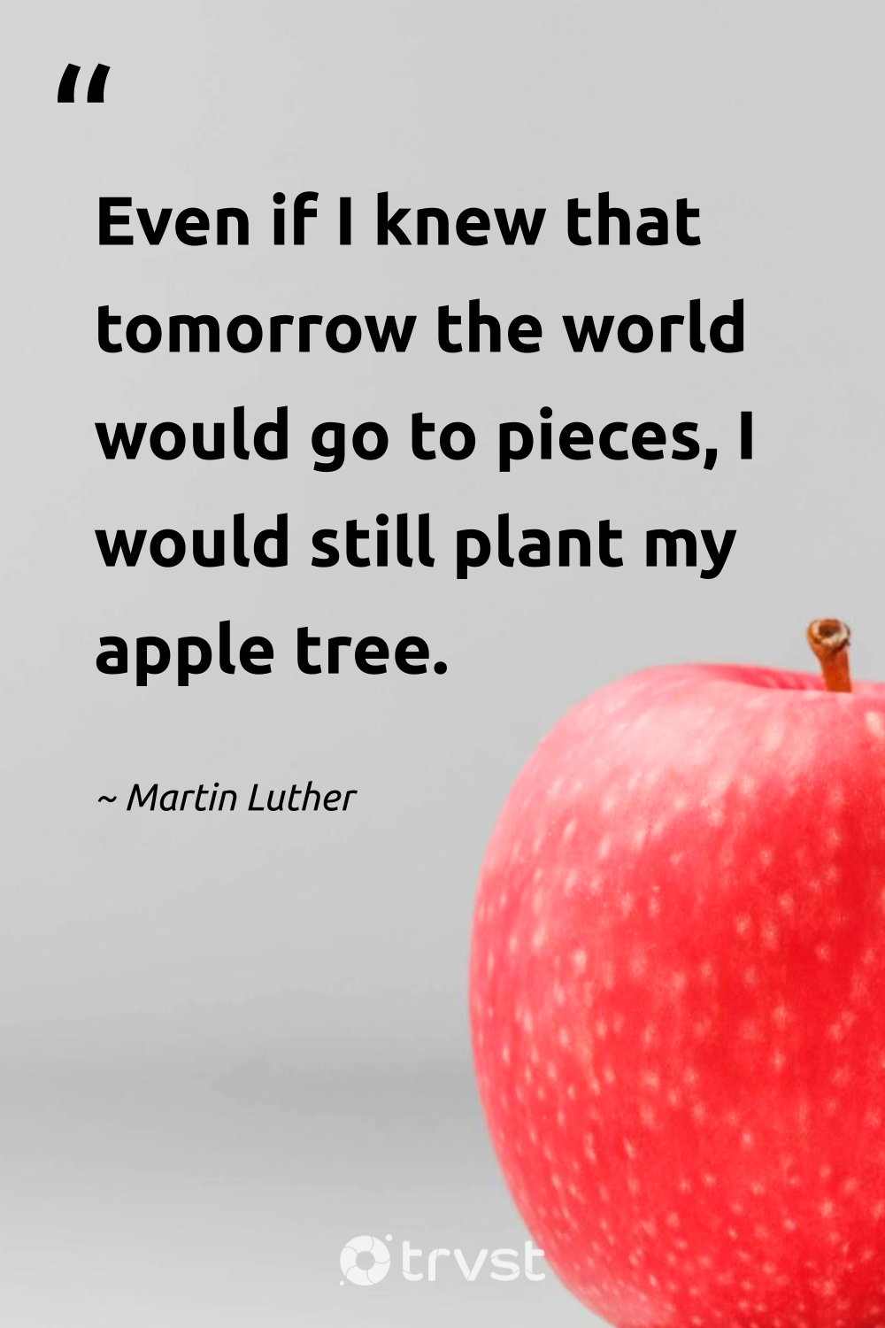 60 Apple Quotes To Keep The Doctor Away