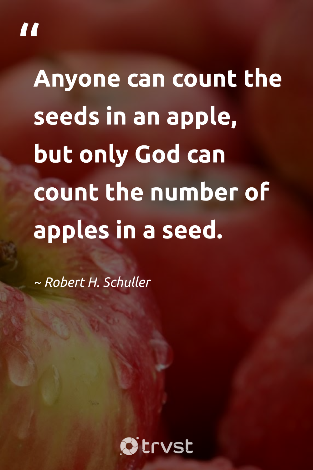 60 Apple Quotes To Keep The Doctor Away