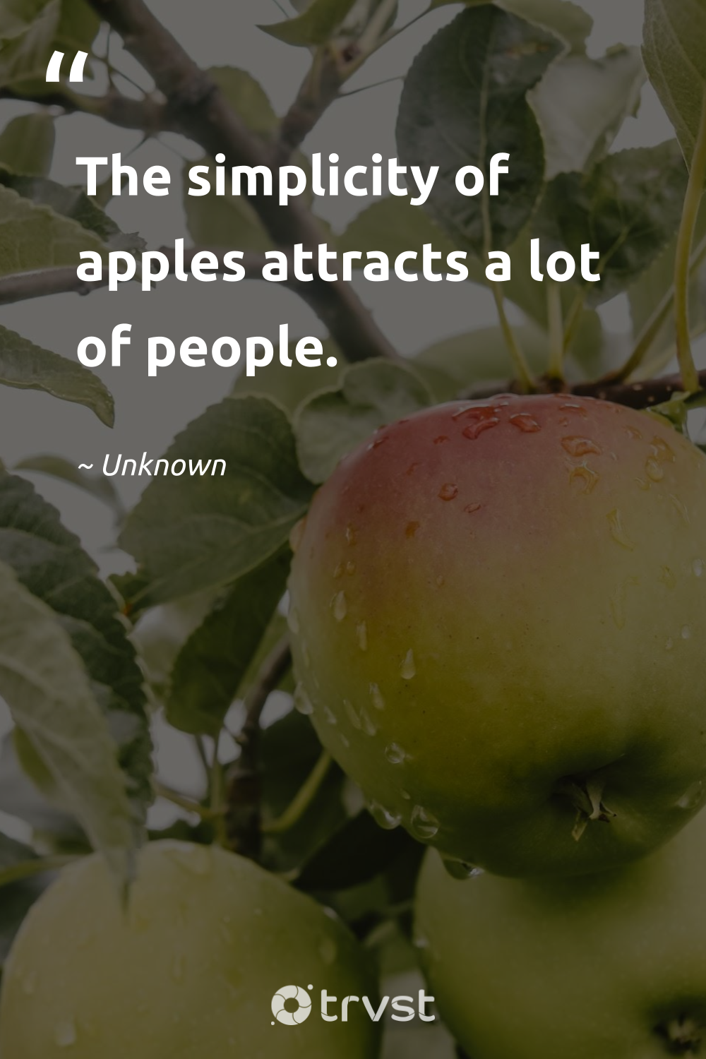 60 Apple Quotes To Keep The Doctor Away