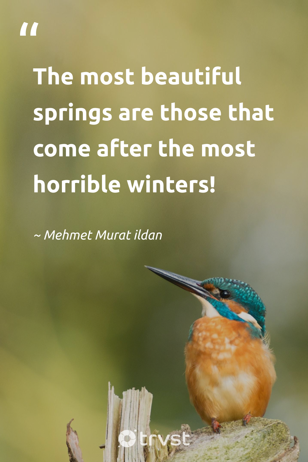 53 April Quotes and Sayings to Welcome the Warmer Weather