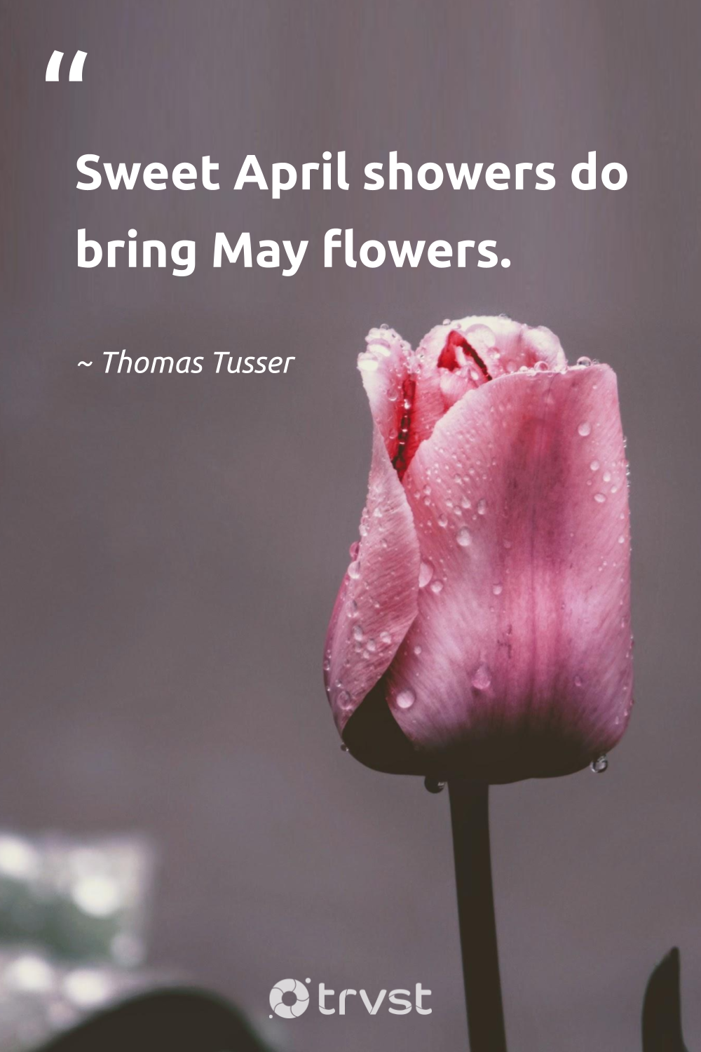 53 April Quotes and Sayings to Welcome the Warmer Weather