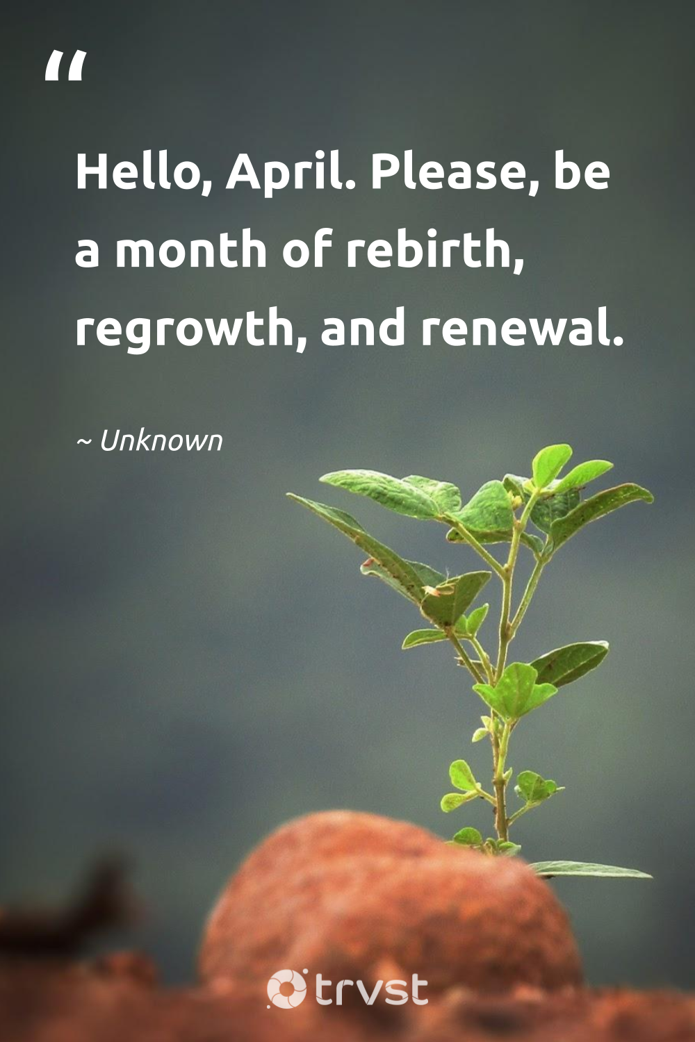 53 April Quotes and Sayings to Welcome the Warmer Weather