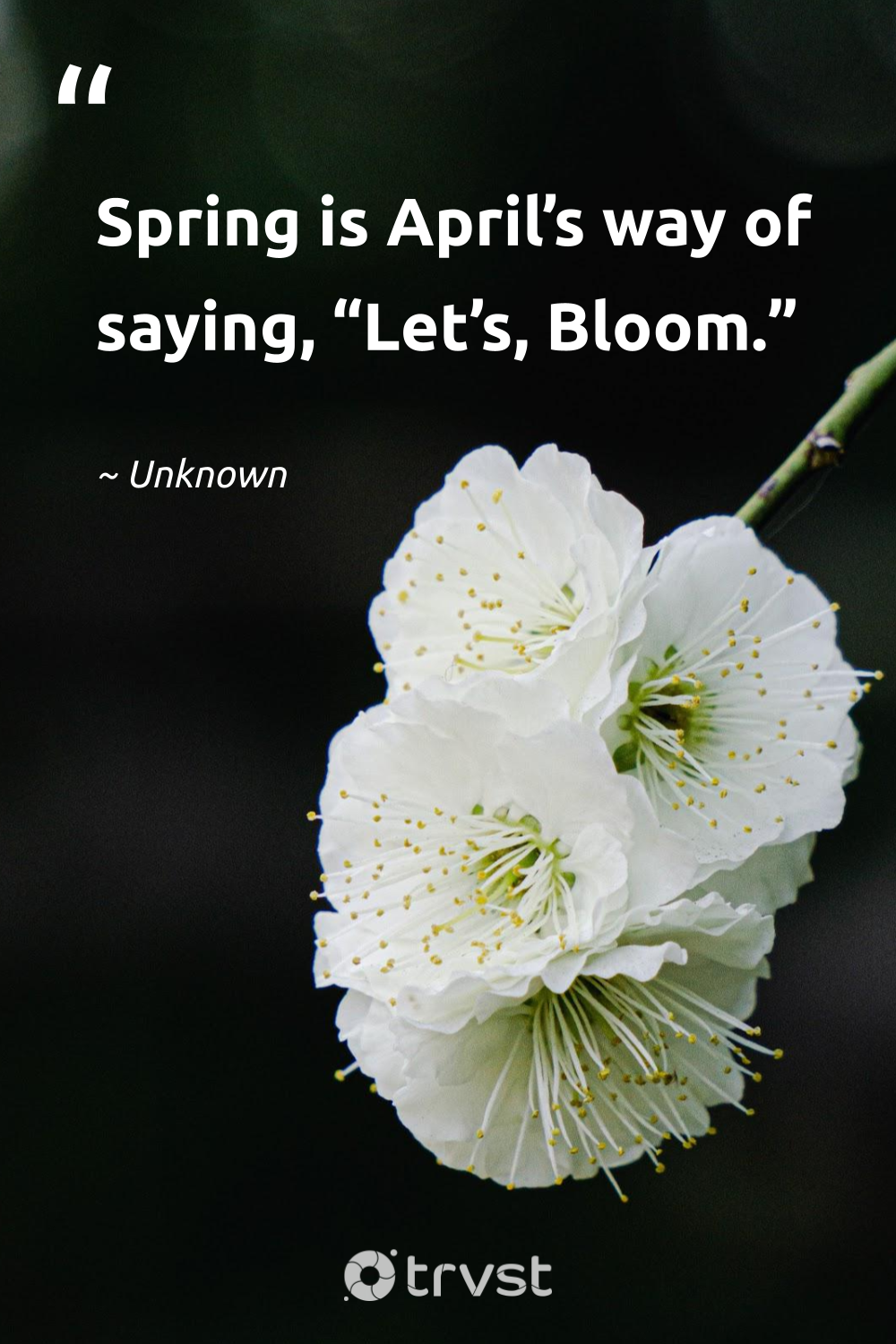 53 April Quotes and Sayings to Welcome the Warmer Weather