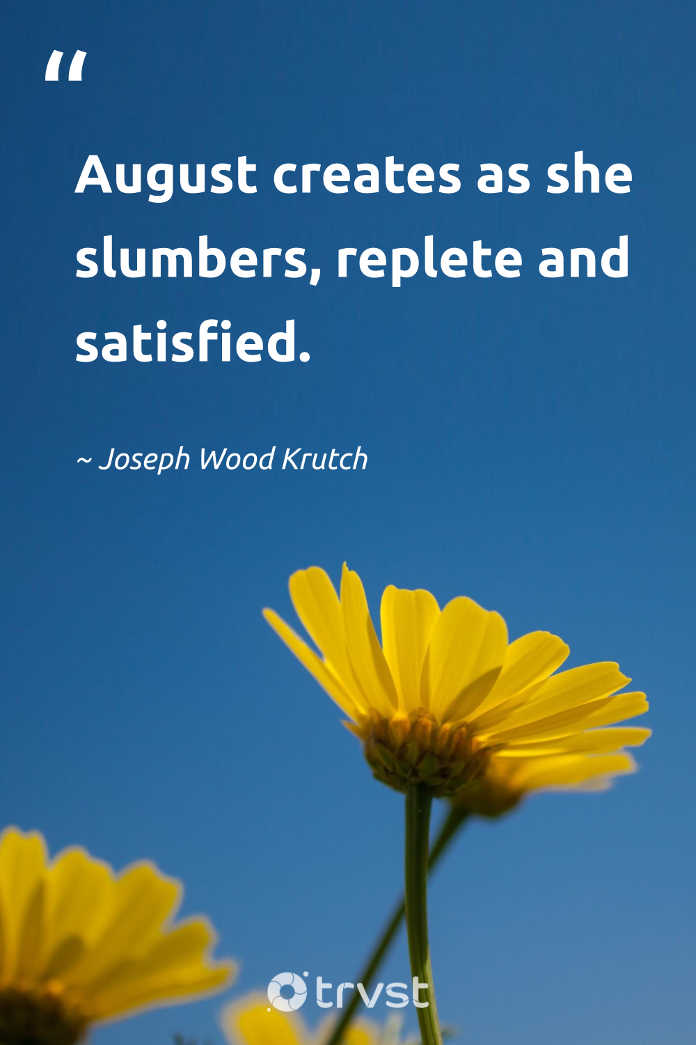 37 August Quotes About The Waning Warmth Of The Season