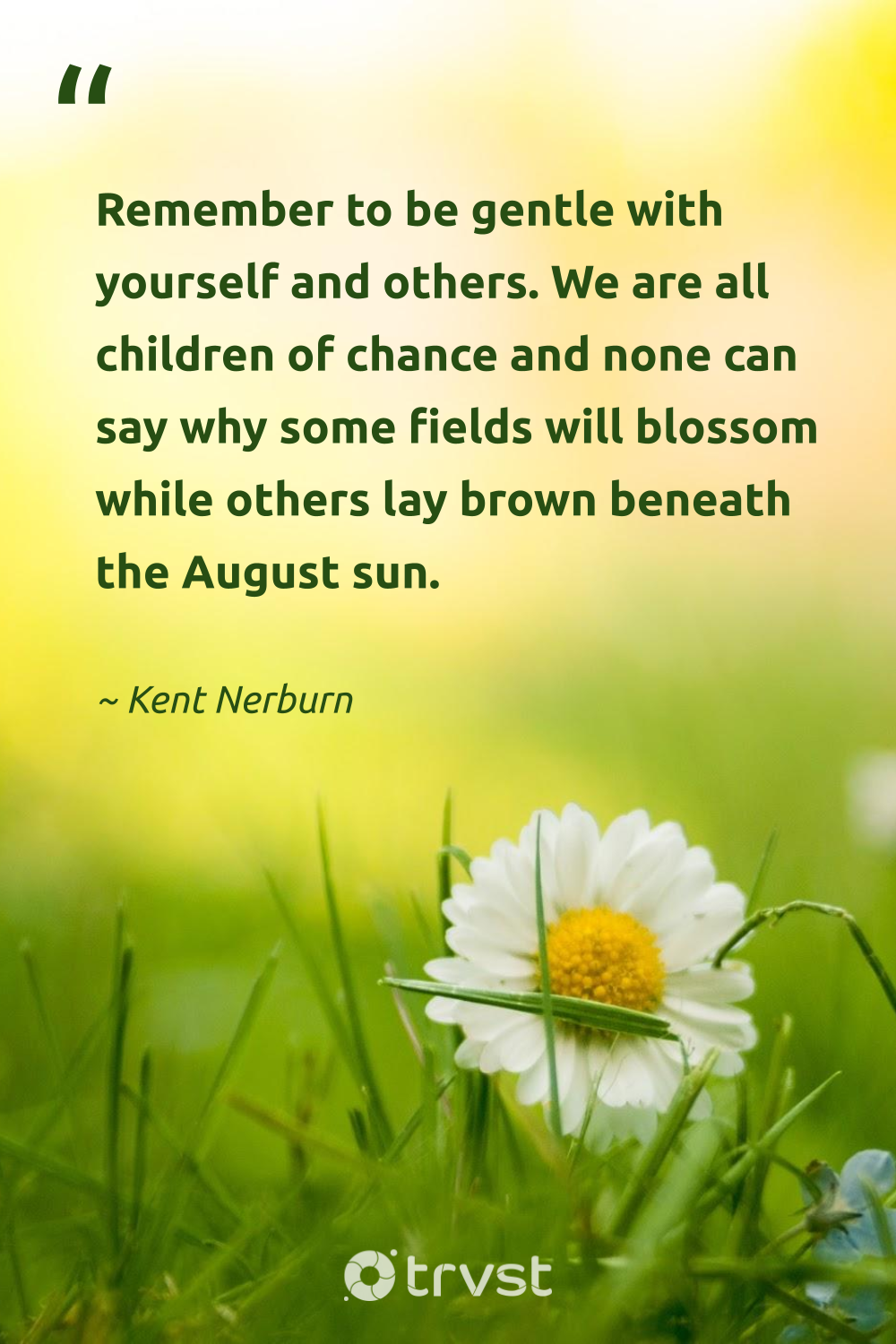 37 August Quotes About The Waning Warmth Of The Season