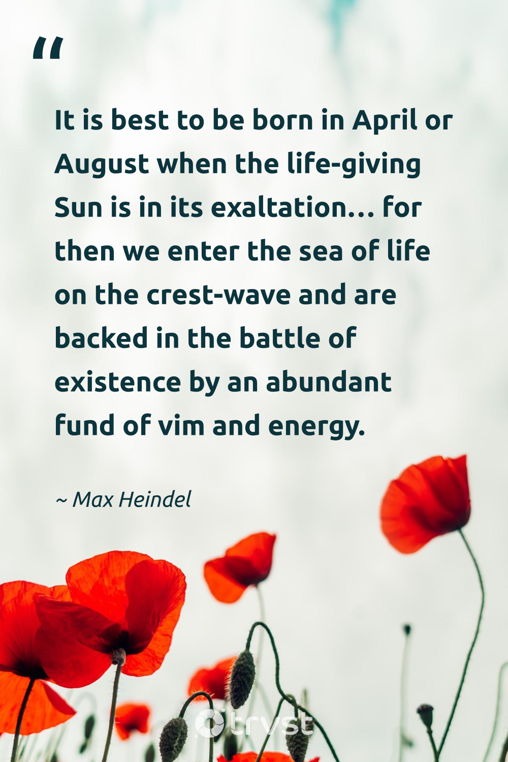 37 August Quotes About The Waning Warmth Of The Season
