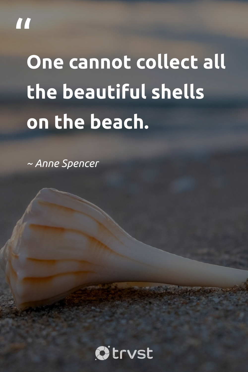 69 Beach Quotes for Sunny Bright Days
