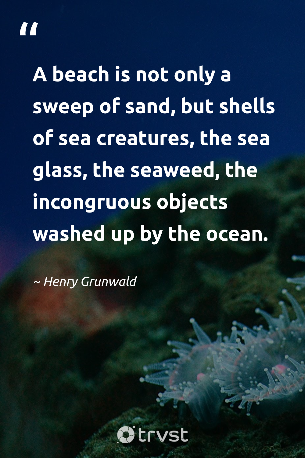 69 Beach Quotes for Sunny Bright Days