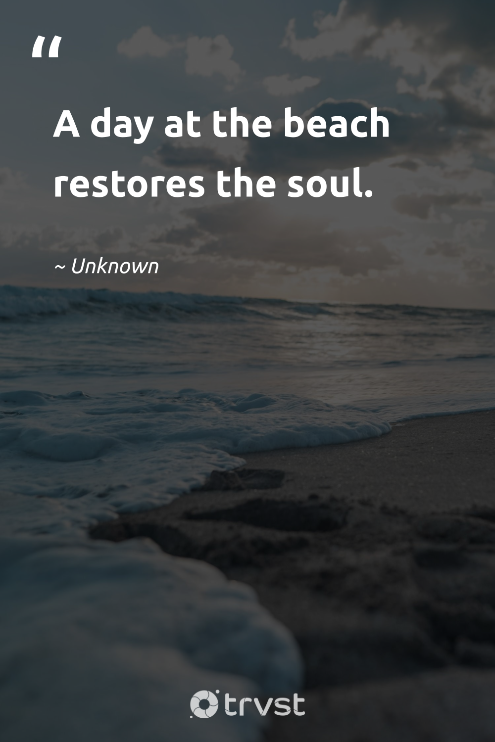 69 Beach Quotes for Sunny Bright Days