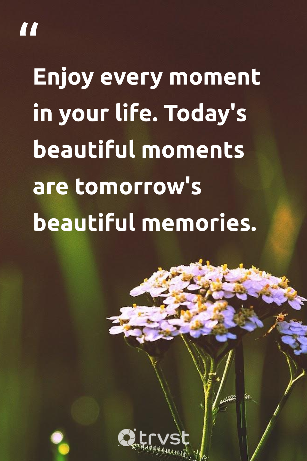 45 Beautiful Day Quotes for Everyday Inspiration (2024)