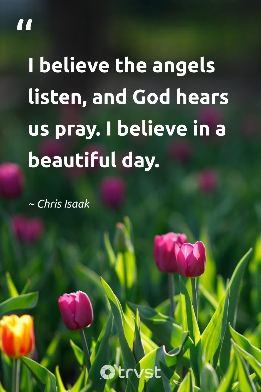 45 Beautiful Day Quotes for Everyday Inspiration (2024)