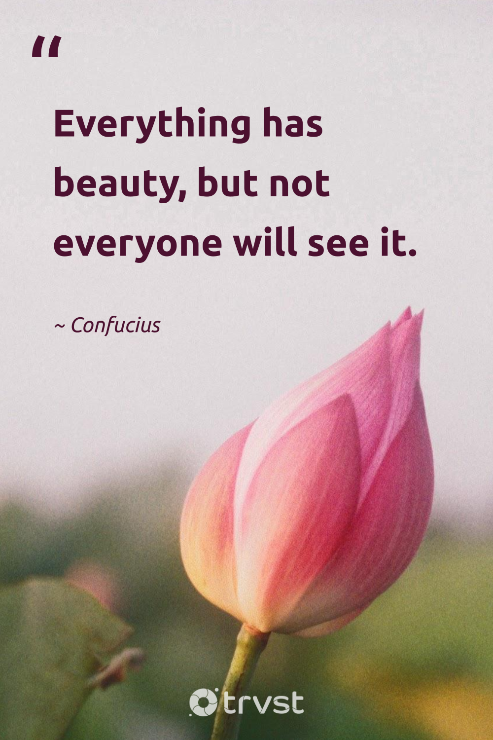 45 Beautiful Day Quotes for Everyday Inspiration (2025)