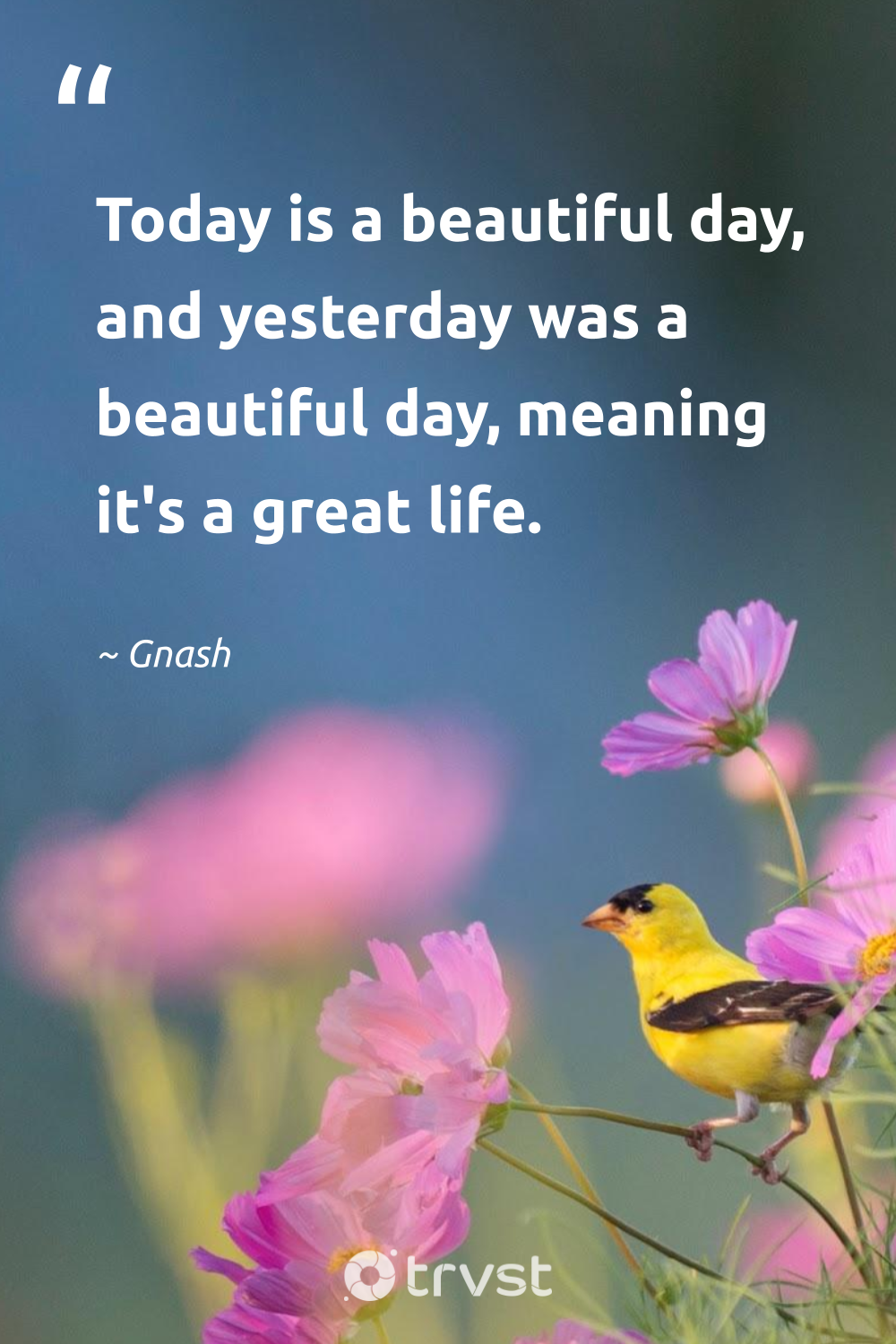 45 Beautiful Day Quotes for Everyday Inspiration (2025)
