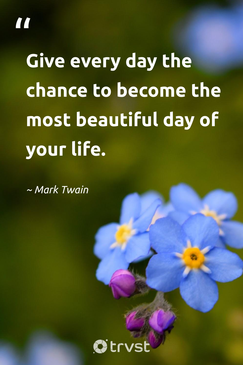 45 Beautiful Day Quotes for Everyday Inspiration (2025)