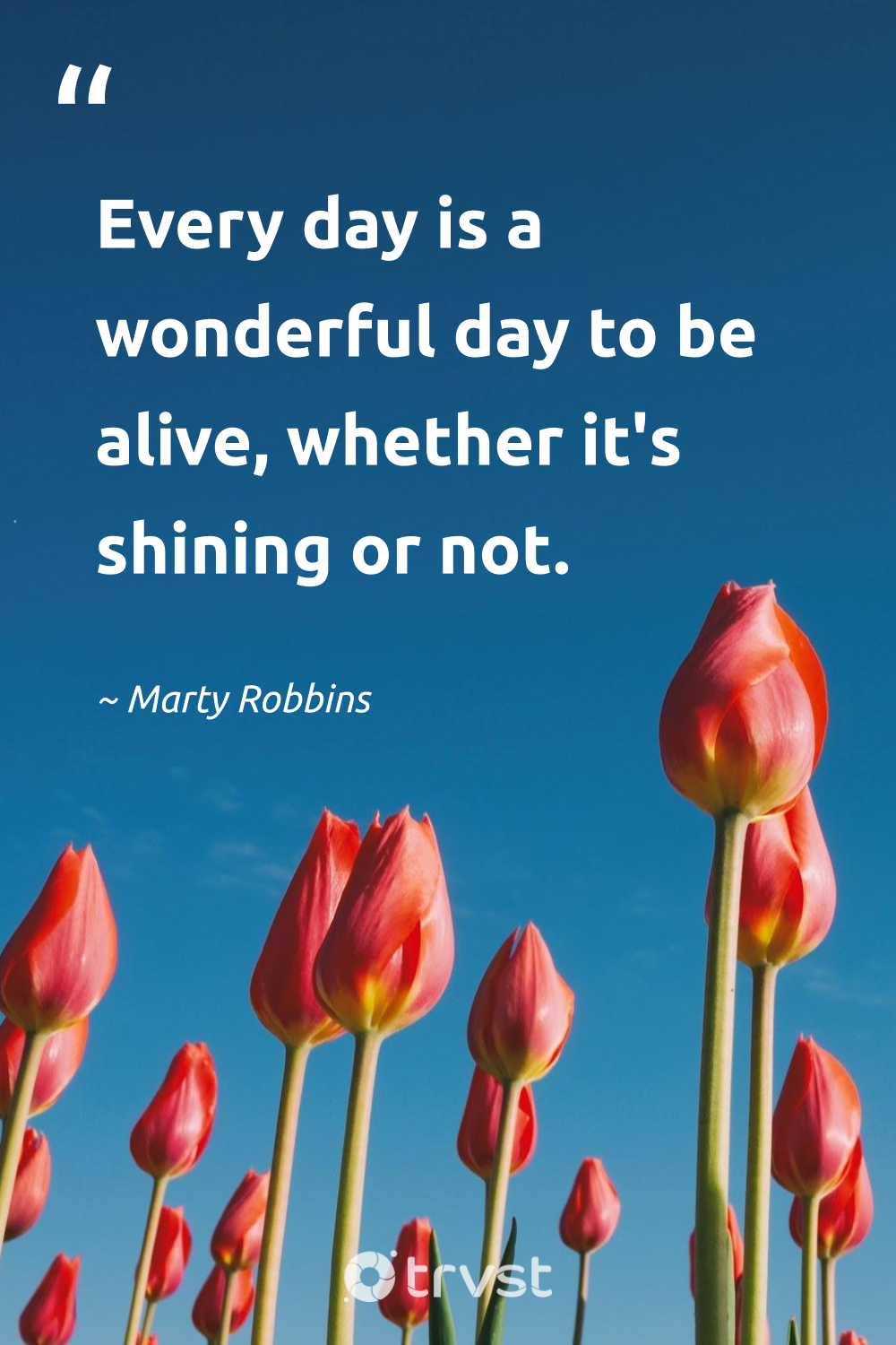 45 Beautiful Day Quotes for Everyday Inspiration (2024)