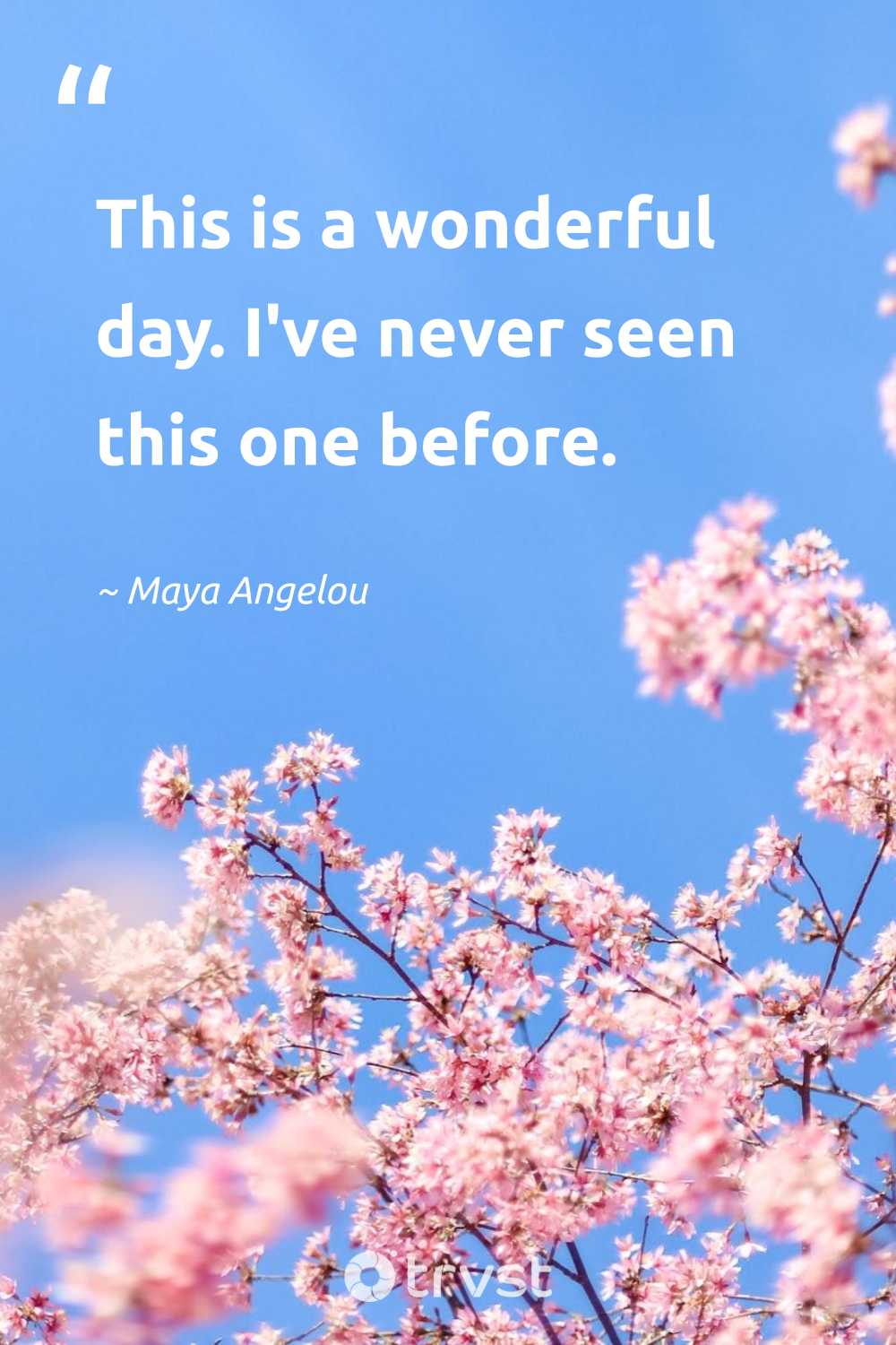 45 Beautiful Day Quotes for Everyday Inspiration (2025)